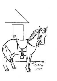 Cal si manz - Plansa de colorat | SfatulMamicilor.ro